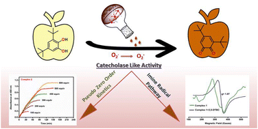 Unprecedented pseudo-zeroth-order kinetics of the catecholase-like ...