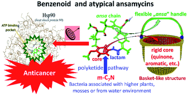 Structural diversity and biological relevance of benzenoid and atypical ...