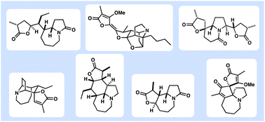 Strategies for the synthesis of Stemona alkaloids: an update - Natural ...