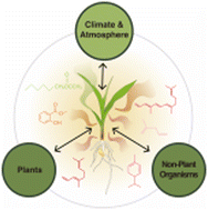 Dynamic environmental interactions shaped by vegetative plant volatiles ...