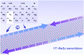 Regulating the electronic and magnetic properties of 1T′-ReS2 by ...