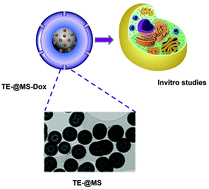 Egg-yolk core–shell mesoporous silica nanoparticles for high ...