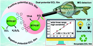 Dual-potential electrochemiluminescent film constructed from single AIE ...