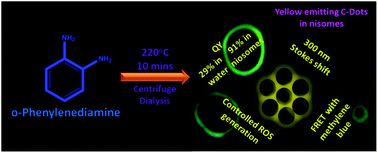 Development of a carbon dot and methylene blue NIR-emitting FLIM-FRET ...