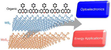 Recent progress in 2D hybrid heterostructures from transition metal ...