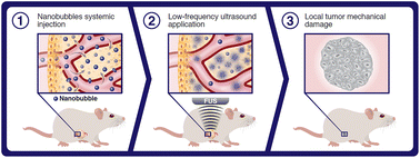 Low frequency nanobubble-enhanced ultrasound mechanotherapy for ...