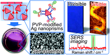 Two-dimensional assembled PVP-modified silver nanoprisms guided by ...