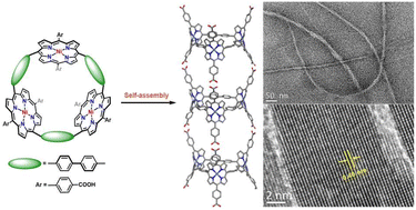 Porphyrin nanotubes based on a hydrogen-bonded organic framework - Nanoscale (RSC Publishing)