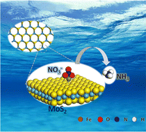 Revealing the pH-dependent mechanism of nitrate electrochemical ...