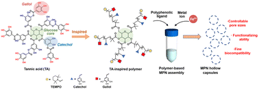 Tannic acid-inspired star polymers for functional metal-phenolic ...