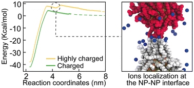 Monovalent ion-mediated charge–charge interactions drive aggregation of ...