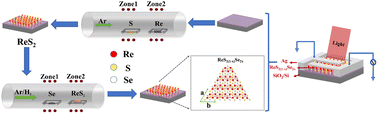 Vertically oriented ReS2(1−x)Se2x nanosheet-formed porous arrays on ...