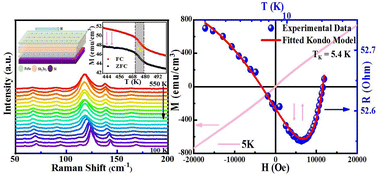 Anharmonic phonon interactions and the Kondo effect in a FeSe/Sb2Te3 ...