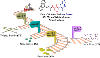 Microfluidic-driven ultrafast self-assembly of a dipeptide into stimuli ...