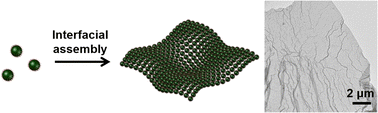 Free-standing two-dimensional sheets of polymer-linked nanoparticles ...