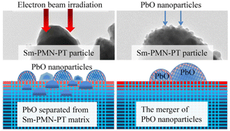 In situ TEM observations of growth mechanisms of PbO nanoparticles from ...