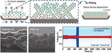 Coordinating ionic and electronic conductivity on 3D porous host ...
