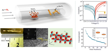 Centimetre-scale single crystal α-MoO3: oxygen assisted self-standing ...