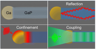 Self-assembled photonic structure: a Ga optical antenna on GaP ...