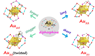 Insights into mechanisms of diphosphine-mediated controlled surface ...