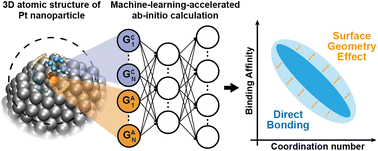 Complex ligand adsorption on 3D atomic surfaces of synthesized ...