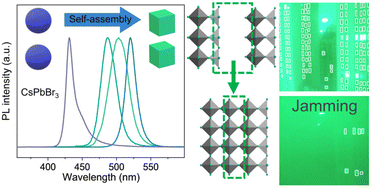 Self-assembled CsPbBr3 quantum dots with wavelength-tunable photoluminescence for efficient ...
