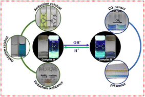 Switchable catalysis and CO2 sensing by reduction resistant ...