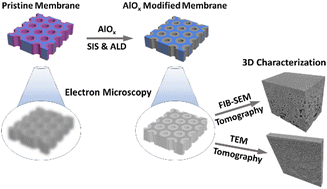 Atomic layer deposition enables multi-modal three-dimensional electron ...