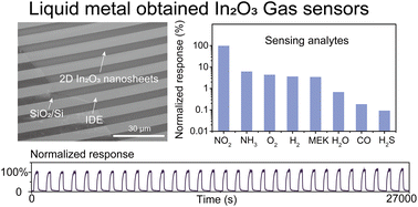 Gas sensors based on the oxide skin of liquid indium - Nanoscale (RSC ...