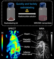 A clinically translatable kit for MRI/NMI dual-modality nanoprobes ...