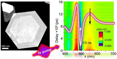 Synthesis, optoelectronic properties, and charge carrier dynamics of ...