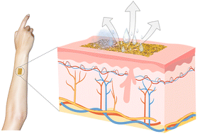Toward a new generation of permeable skin electronics - Nanoscale (RSC ...