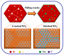 Heteroatomic stitching of broken WS2 monolayer with enhanced surface ...