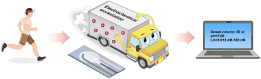AuNP/Cu-TCPP(Fe) metal–organic framework nanofilm: a paper-based ...