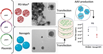 Microfluidic production of nanogels as alternative triple transfection ...