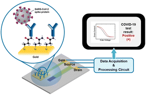 Point-of-care (POC) SARS-CoV-2 antigen detection using functionalized ...