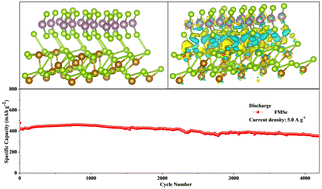 Self-assembled nanoflower-like FeSe2/MoSe2 heterojunction anode with ...