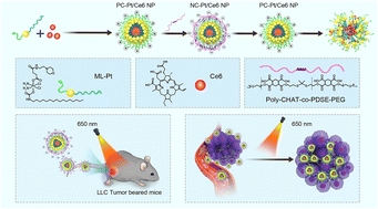 Light-activated PEG deshielding core–shell nanoparticles for enhanced ...