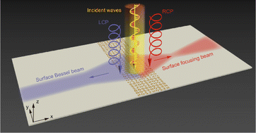 Spin-decoupled excitation and wavefront shaping of structured surface ...