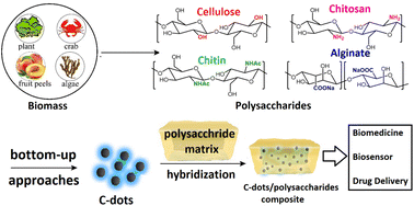 Polysaccharide