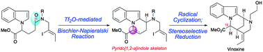 Total synthesis of (±)-vinoxine: construction of the bridged pyrido[1,2 ...