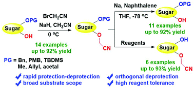 Cyanomethyl (CNMe) ether: an orthogonal protecting group for ...