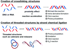 Hybridization-specific chemical reactions to create interstrand ...