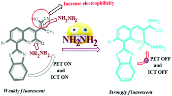 A benzothiazole-based dual reaction site fluorescent probe for the selective detection of ...