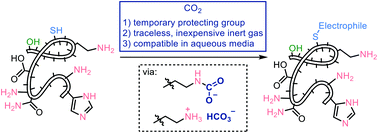 Carbon dioxide enhances sulphur-selective conjugate addition reactions ...