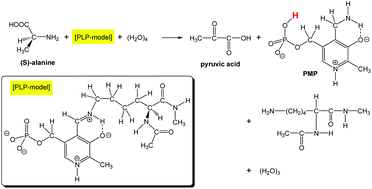 Phosphate Group Diagram