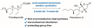 Biomimetic total synthesis of plakortone Q via acid-mediated tandem ...
