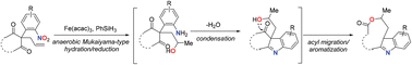 Rapid construction of indole-fused 8–10 membered lactones via a tandem ...