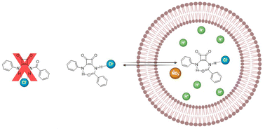 Amidosquaramides – a new anion binding motif with pH sensitive anion ...