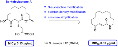Synthesis and structure–activity relationship of berkeleylactone A-derived antibiotics - Organic ...